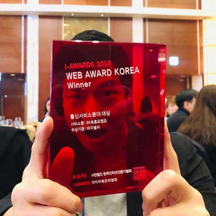 Web Award Korea 2018, Won Two Grand Prizes | News | Practical UX VinylC